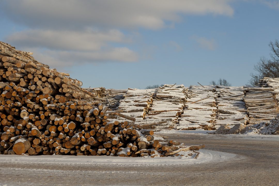 Kokskaidu granulas - Avoti.lv